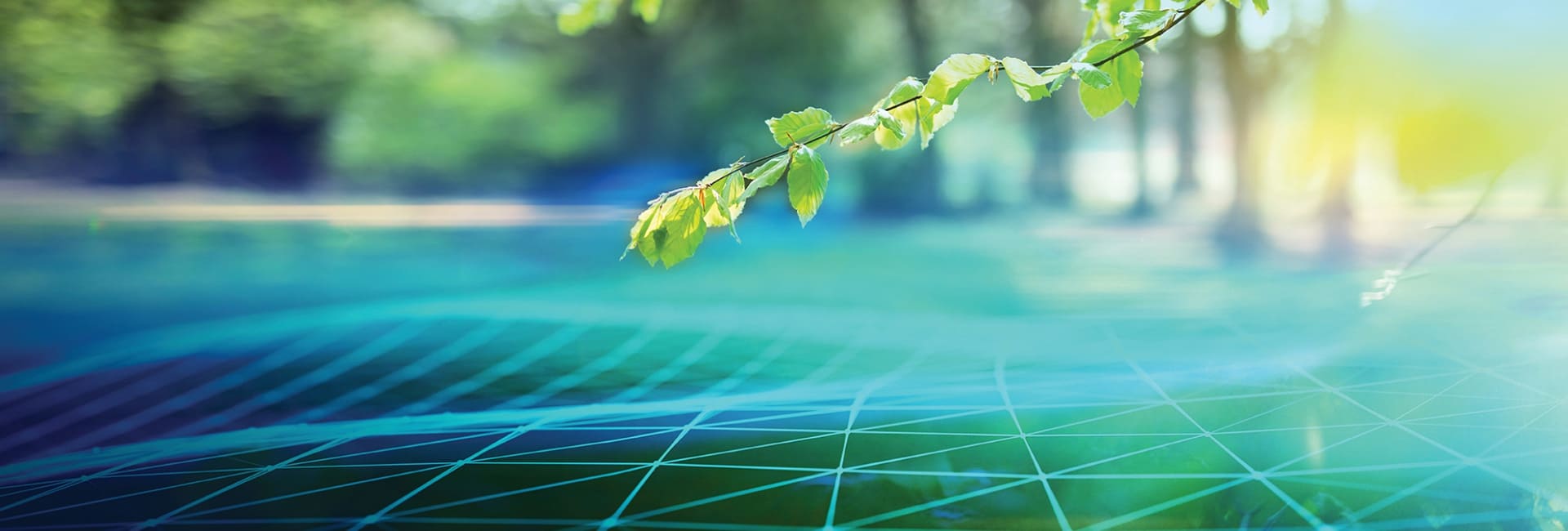 Sustainable Materials | Institute of Advanced Materials, IAAM